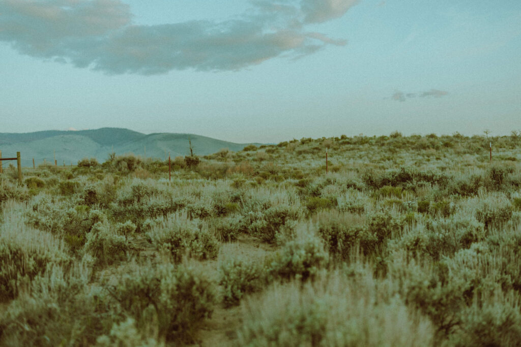 Oregon Badlands Engagement | Esther Rohr Photography